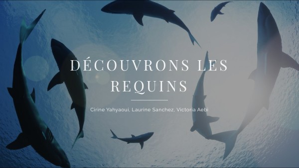 Exposé sur les requins | Genially