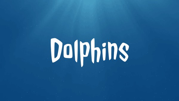 dolphins