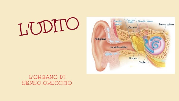L'UDITO