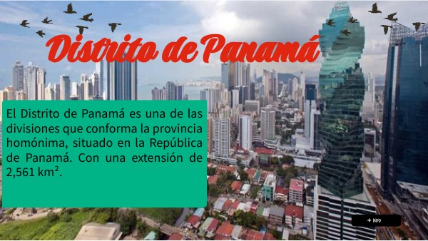 Distrito 4º grado