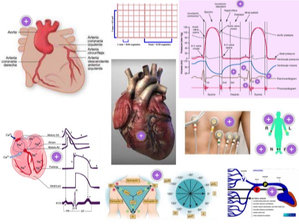 Daniela Mancilla 2228