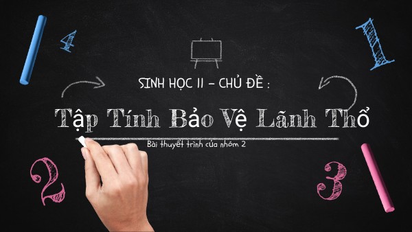 CHALK & BLACKBOARD PRESENTATION | Genially