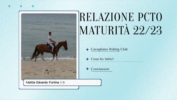 PCTO Mattia Edoardo Fortina