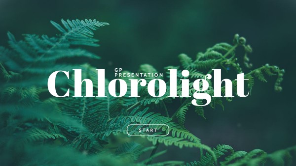 GP Project: Globalization and Branding