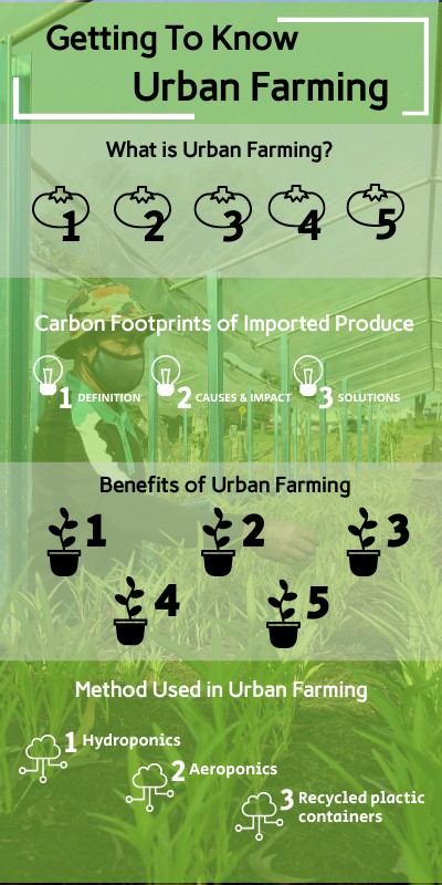 Getting To Know Urban Farming