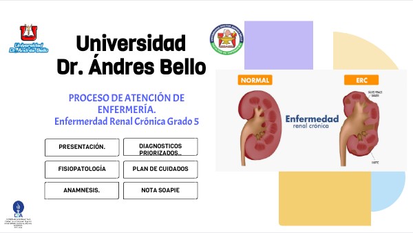 Defensa de PAE 1a Medicina Mujer | Genially