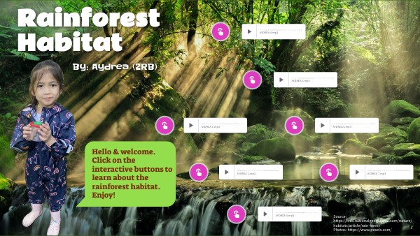 Rainforest Habitat by Aydrea (2RB)