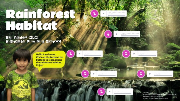 Rainforest Habitat by Ayden Hadif (2LG)