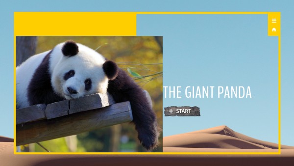 The Giant Panda
