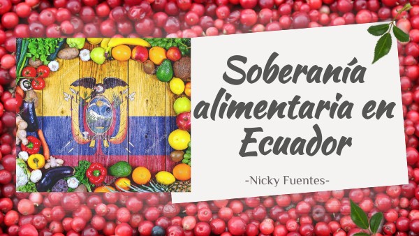 Soberanía alimentaria entre derechos del buen vivir y políticas agrari