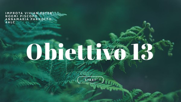 OBIETTIVO 13