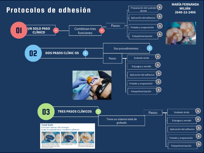 Protocolos de adhesión | Genially
