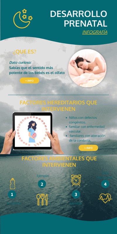 INFO ONDULADA | Genially