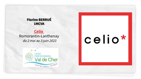 Florine BERRUE E31 E32 PFMP 4 | Genially