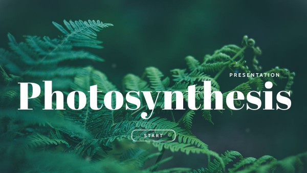 NATURE PRESENTATION