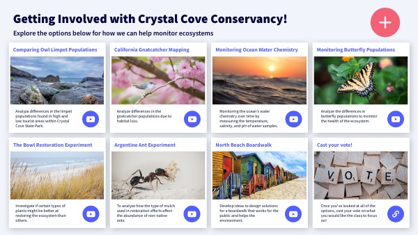 Crystal Cove Conservancy