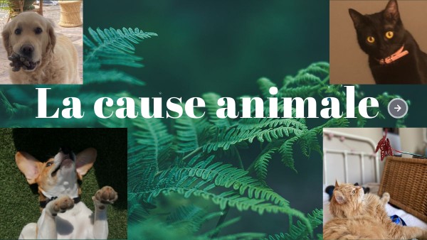 LA CAUSE ANIMAL