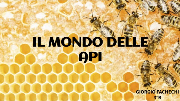 Il mondo delle api_Visita all'apiario_Fachechi Giorgio | Genially