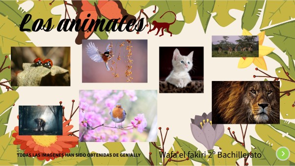 presentacion wafa animales | Genially