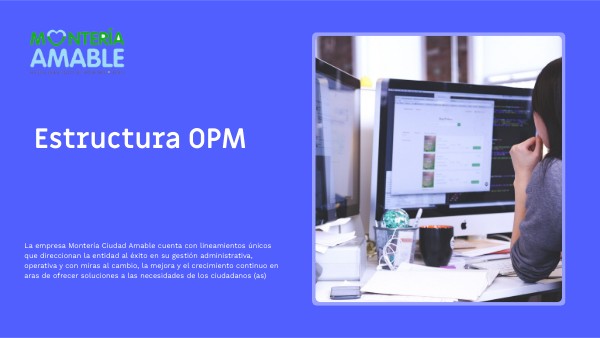 Describir la estructura de OPM