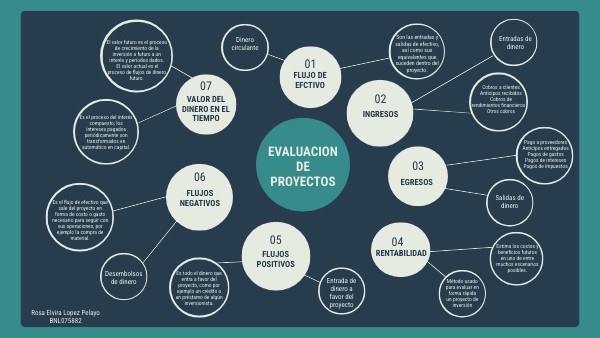 MAPA MENTAL EVALUACION DE PROYECTOS