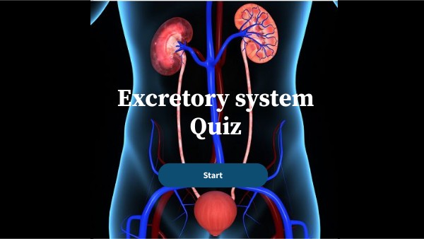 Excretory System Quiz | Genially