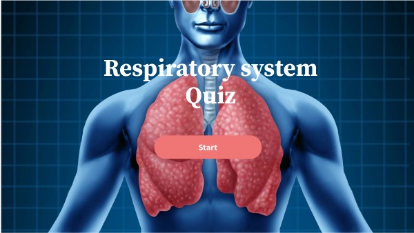 Respiratory System Quiz