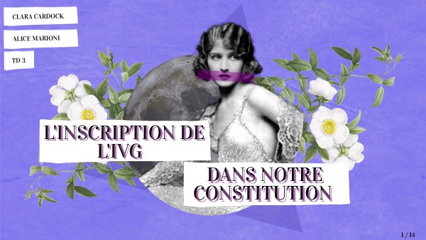 IVG dans notre Constitution