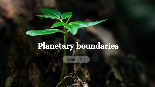 planetary boundaries