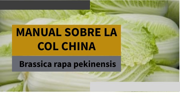 Manual Col China | Genially