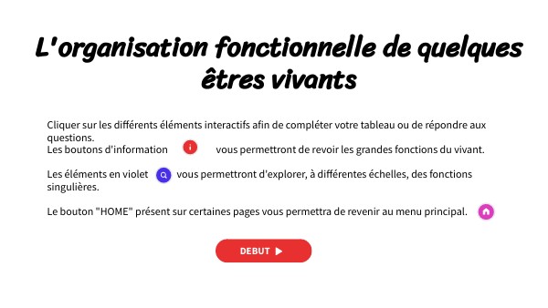 Organisation fonctionnelle des êtres vivants 2nde | Genially