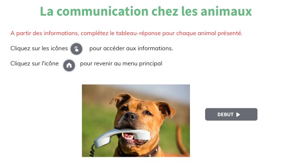 Communication 2nde | Genially