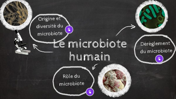 Microbiote humain | Genially