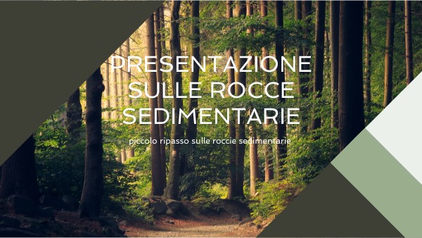 PRESENTAZIONE SULLE ROCCE SEDIMENTARIE | Genially