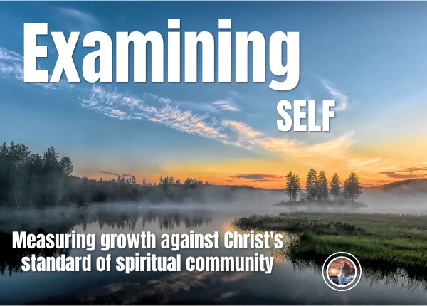 Examining Self Bible Curriculum