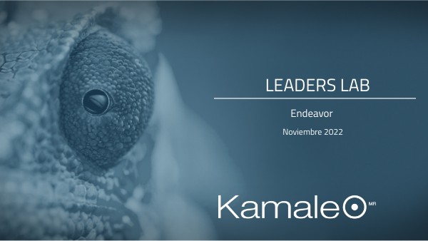 Endeavor Leaders Lab