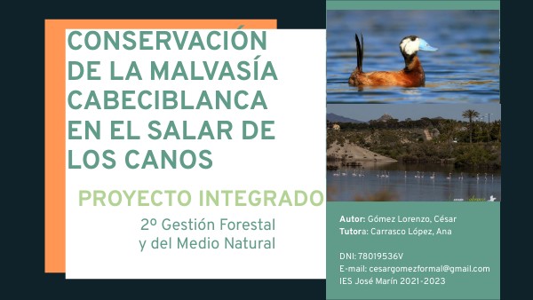 Proyecto Integrado | Genially