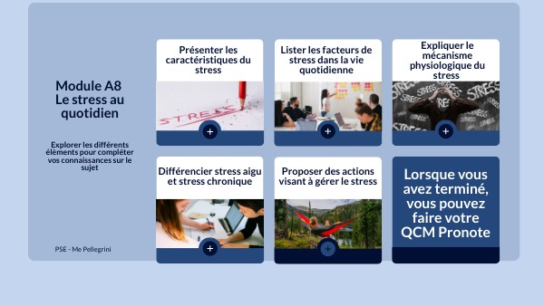 Module A8 Le stress au quotidien | Genially