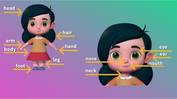 Body parts | Genially