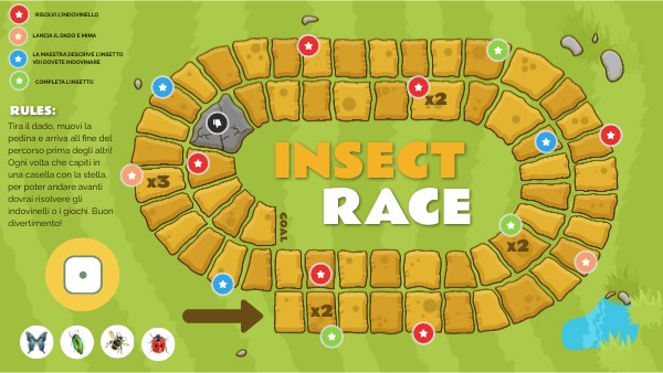 INSECT RACE