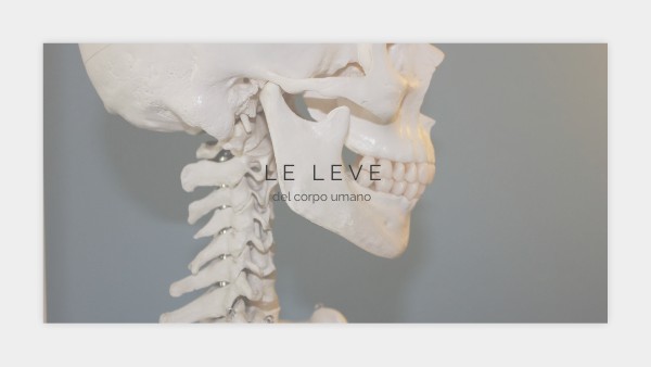 le leve