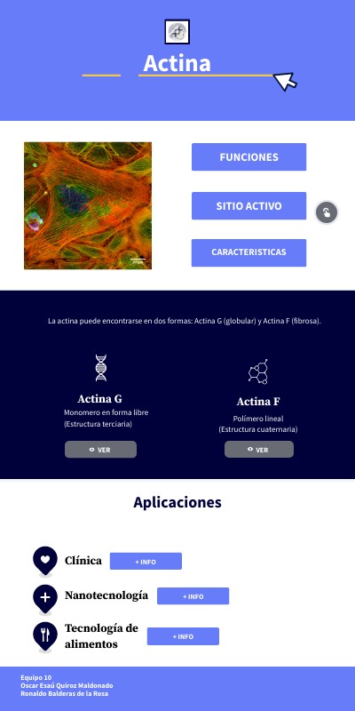 Actina