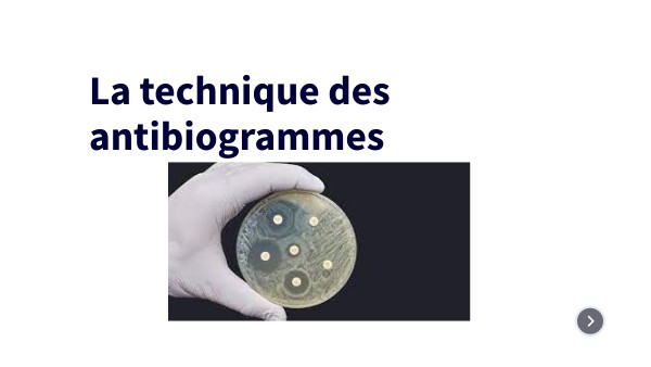Antibiogramme | Genially