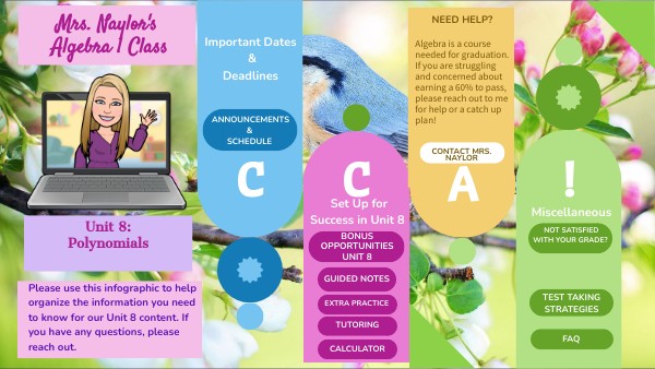 Unit 8 Algebra Infographic