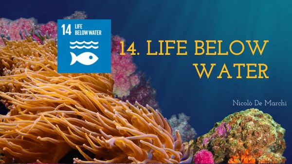 Life below water