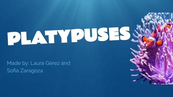 PLATYPUSES