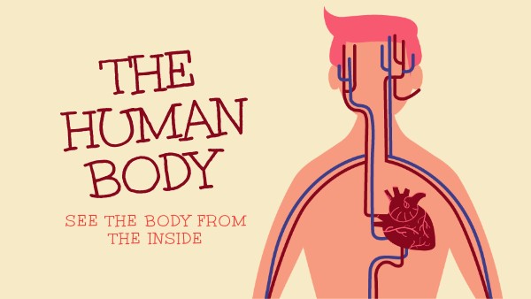 HUMAN BODY PRESENTATION