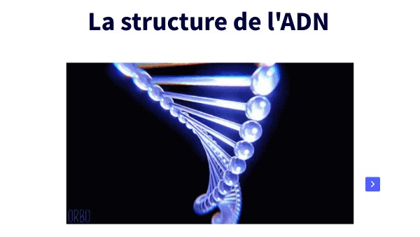 structure ADN groupe 2 | Genially