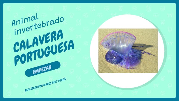 Trabajo de investigación sobre un animal invertebrado | Genially