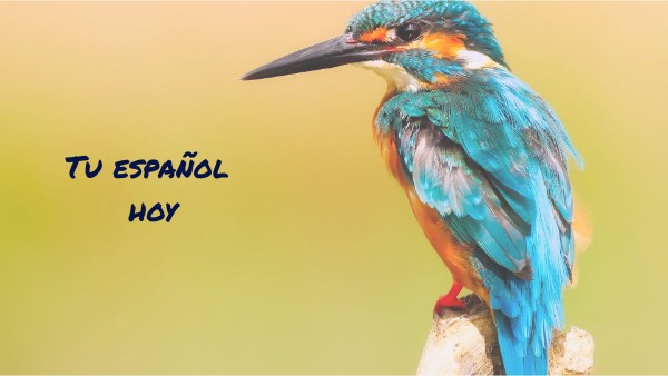 Level Assesment | Genially